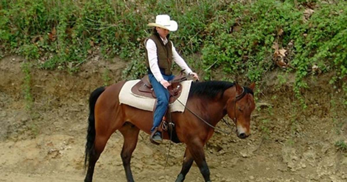 American Horse Riding Academy - Centre d'équitation - MONTS-SUR-ORNE ...