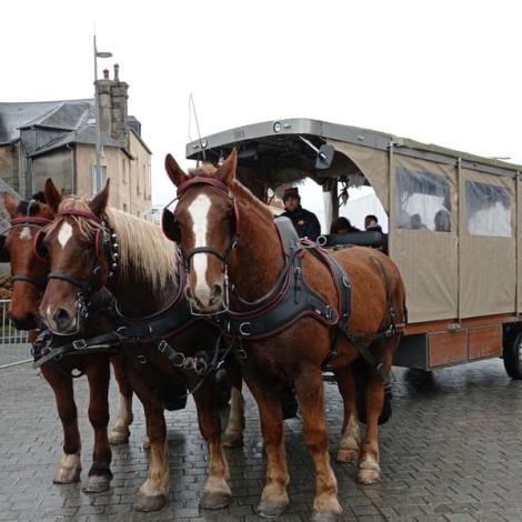 Les animations et marchés de Noël dans l'Orne - Orne Tourisme